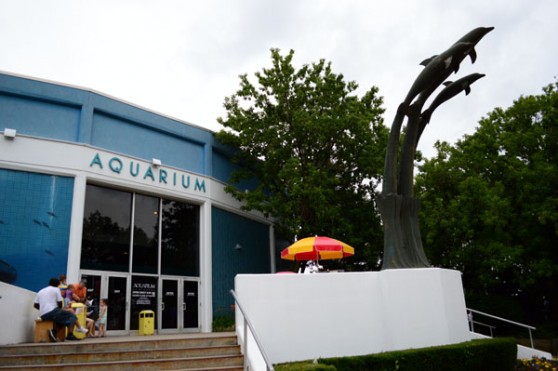 Aquarium of Niagara Falls | Niagara Falls Up Close
