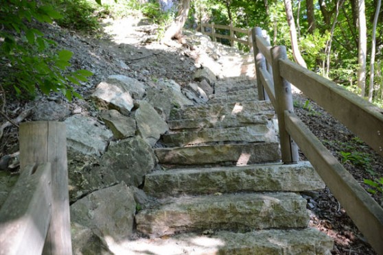 Niagara Gorge Discovery Center | Niagara Falls Up Close